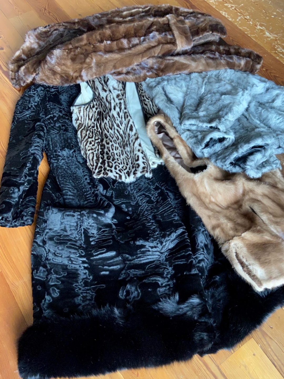 Pelze - Teil 2 - Irit Eser